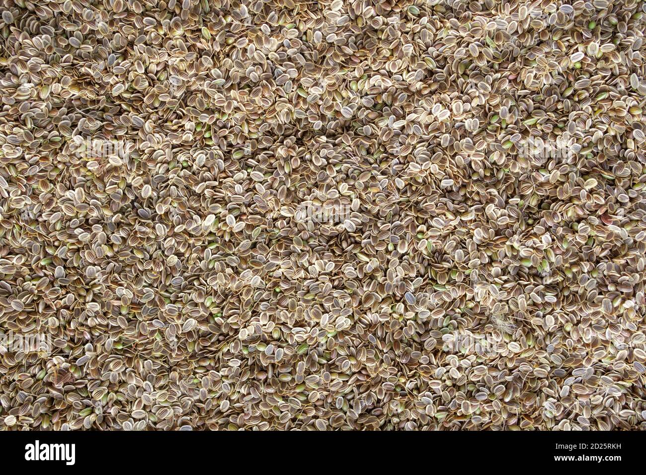 Dried dill powder texture background, close up. spice Stock Photo - Alamy