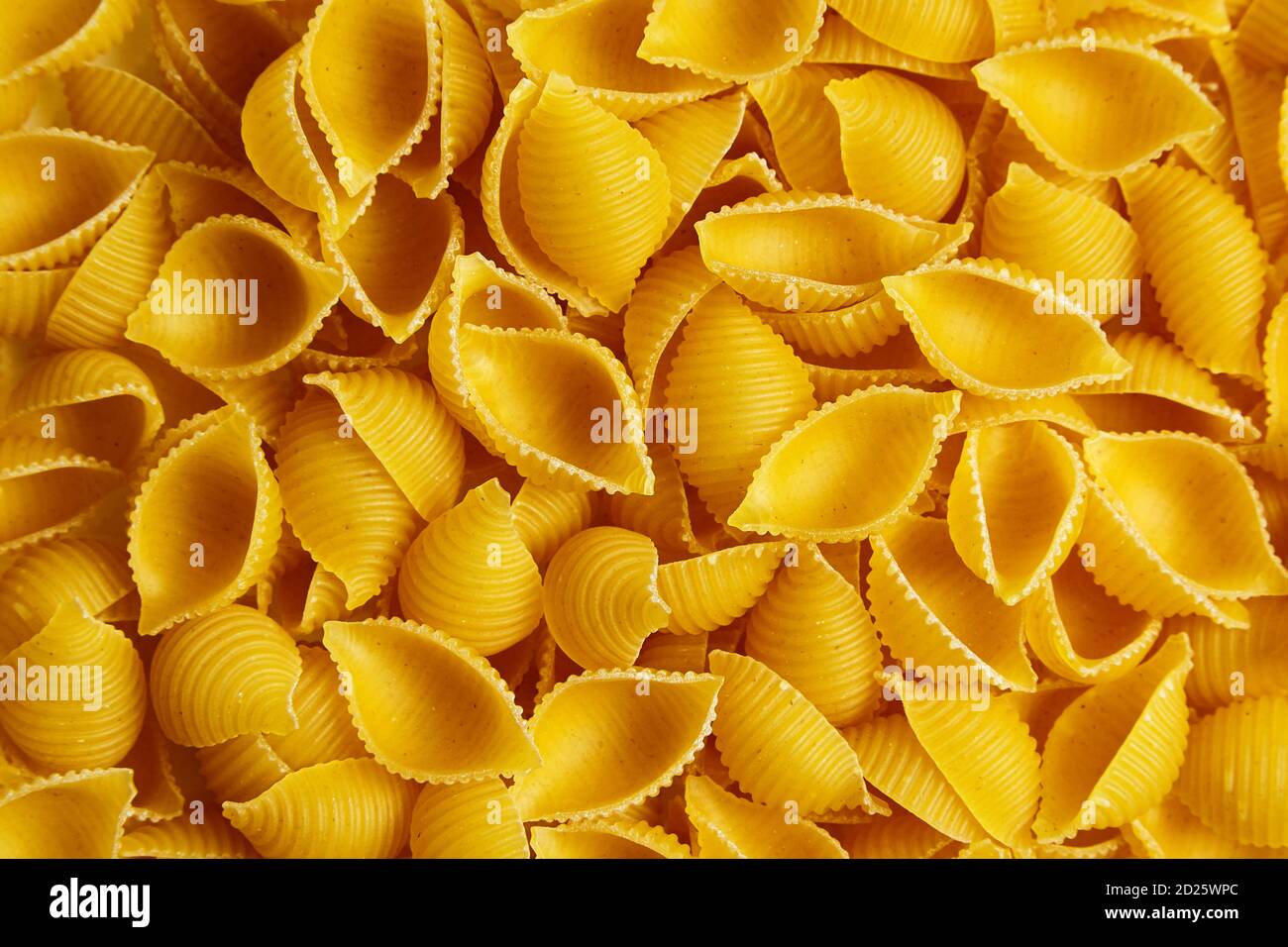 Raw uncooked dry Conchiglioni italian pasta. shells shaped Stock Photo ...