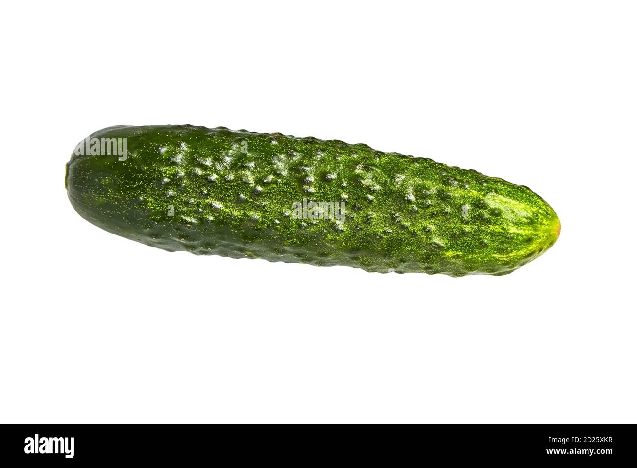 Single fresh green gherkin isolated on white background Stock Photo - Alamy
