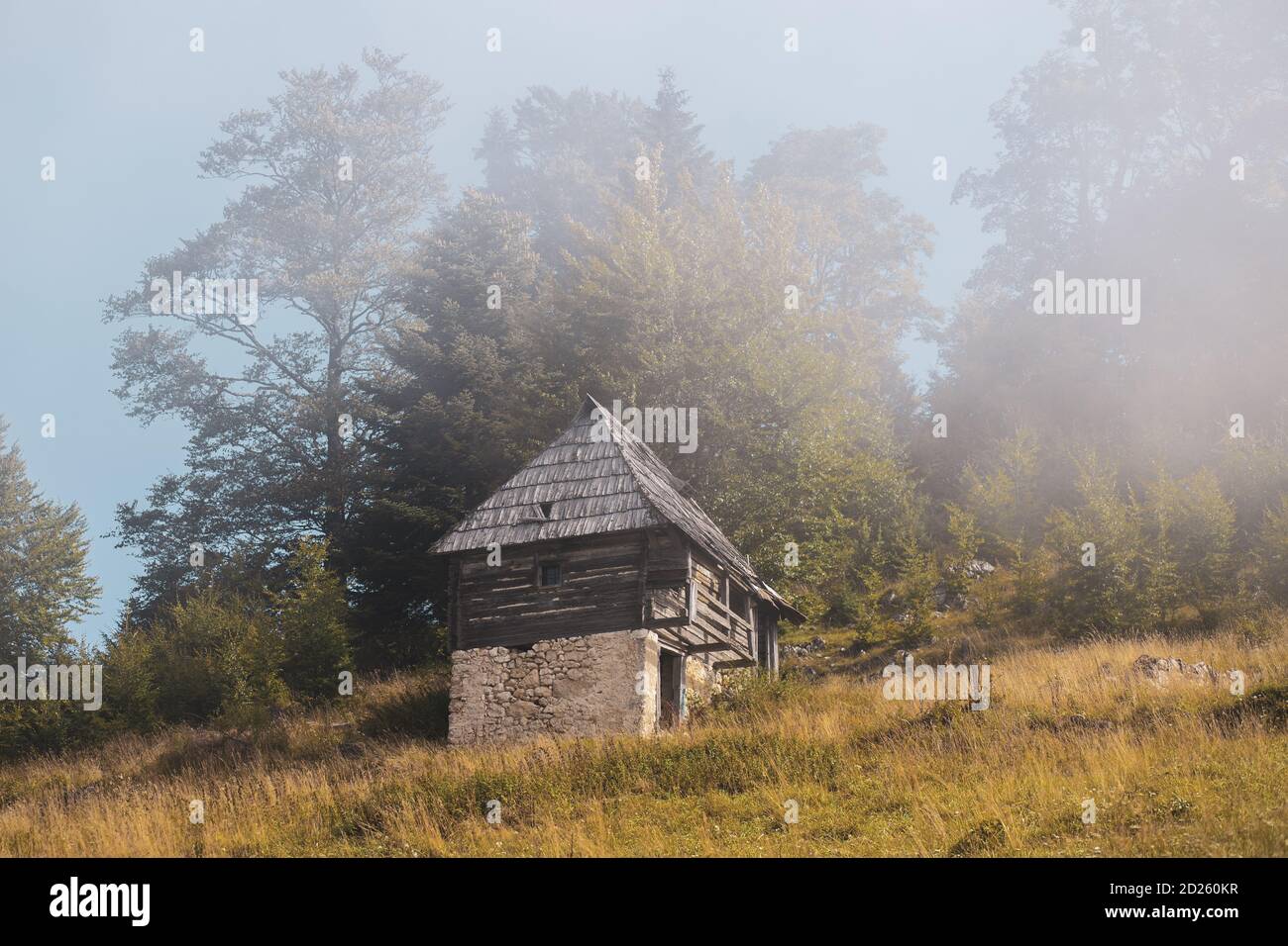 Small old hut on the hill surrounded by greens and trees Stock Photo ...