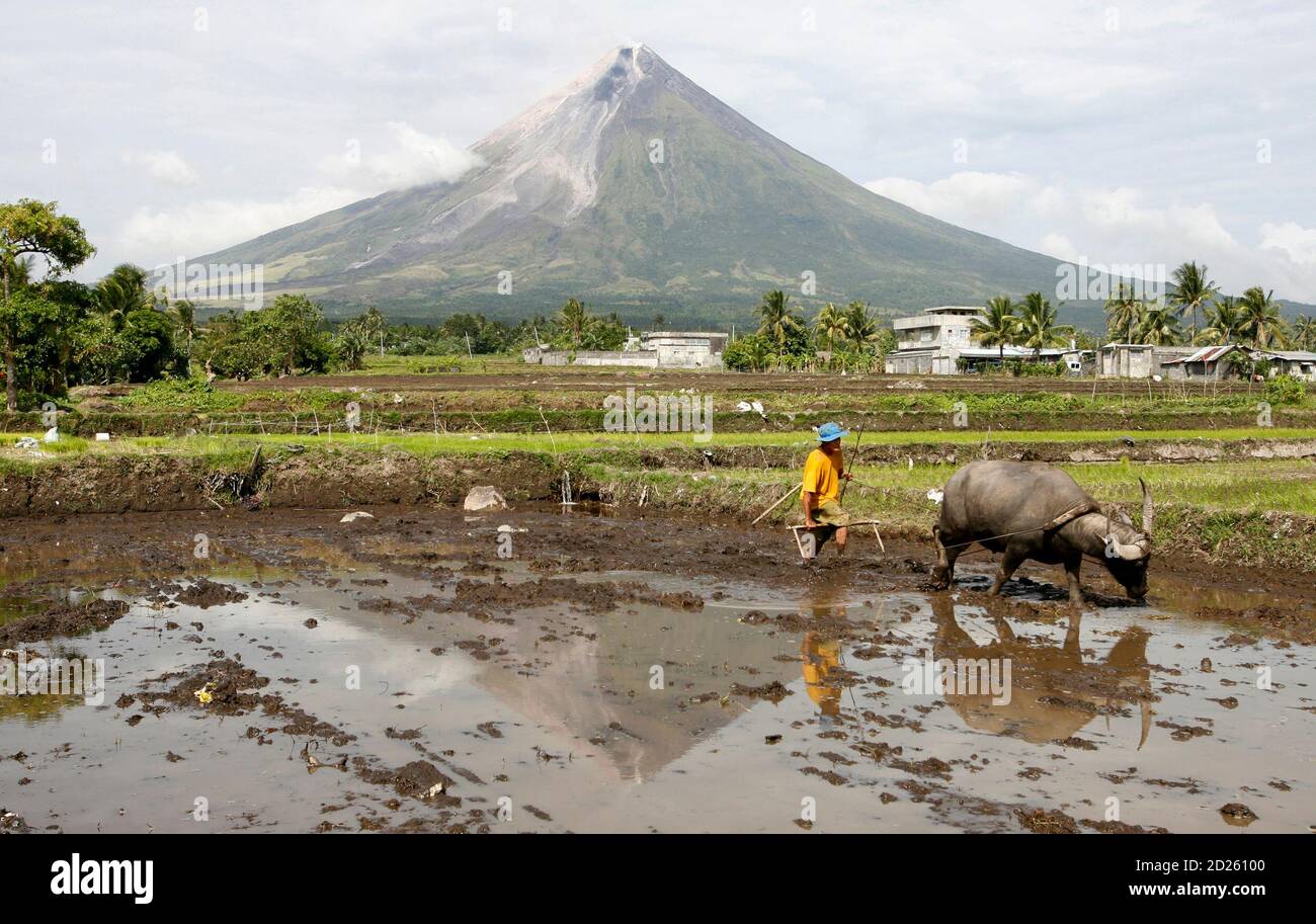 Mayon volcano eruption farmer hi-res stock photography and images - Alamy