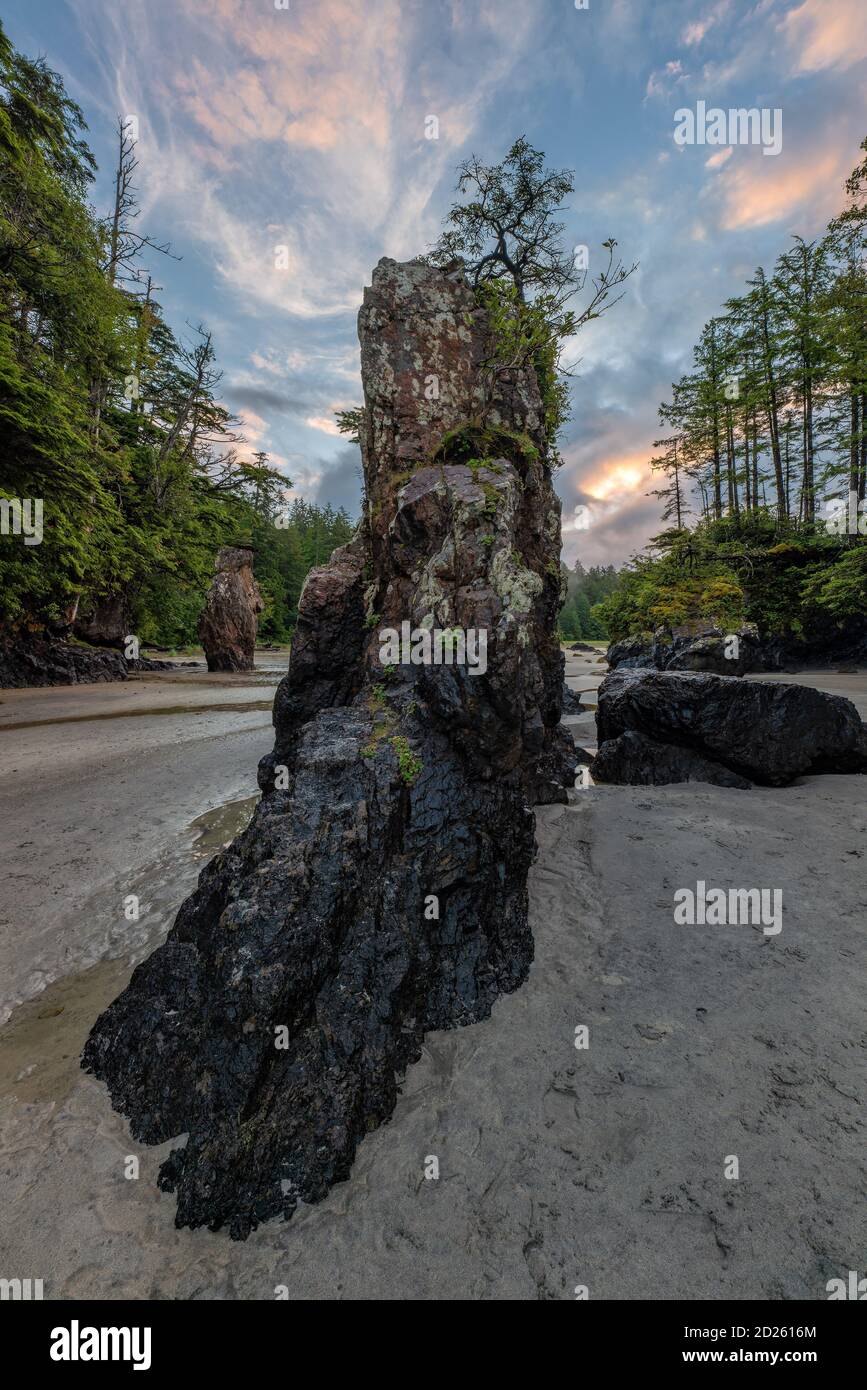 Beautiful sea stack at Cape Scott Provincial Park on Vancouver Island ...