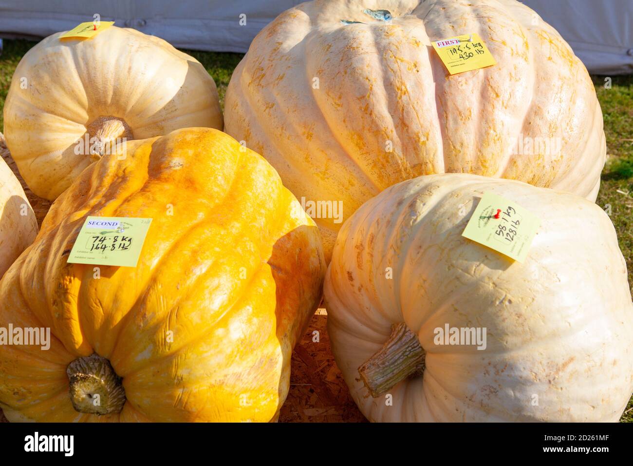Prize Winning Fruit High Resolution Stock Photography and Images - Alamy