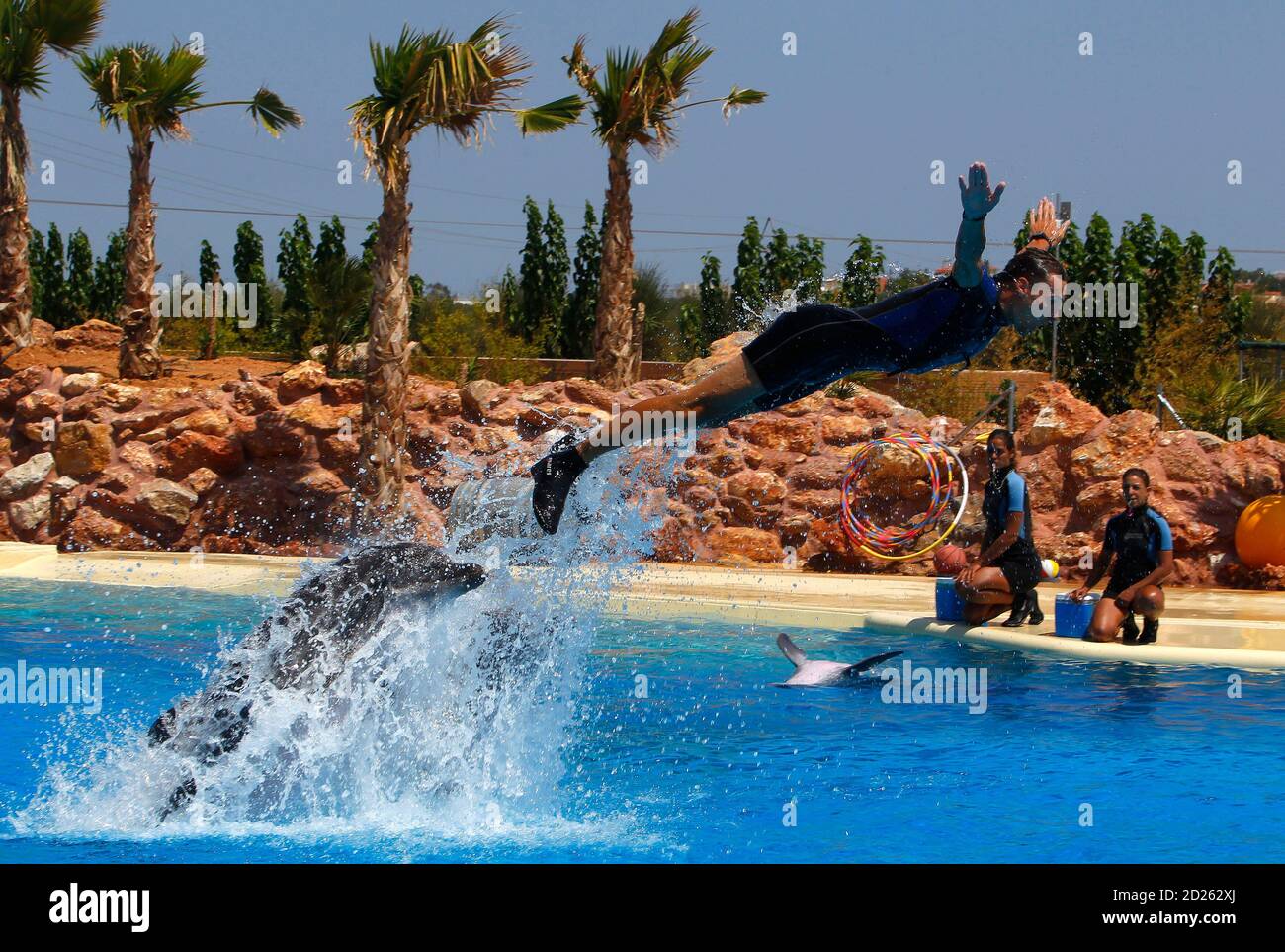 Greek zoo animals hi-res stock photography and images - Alamy