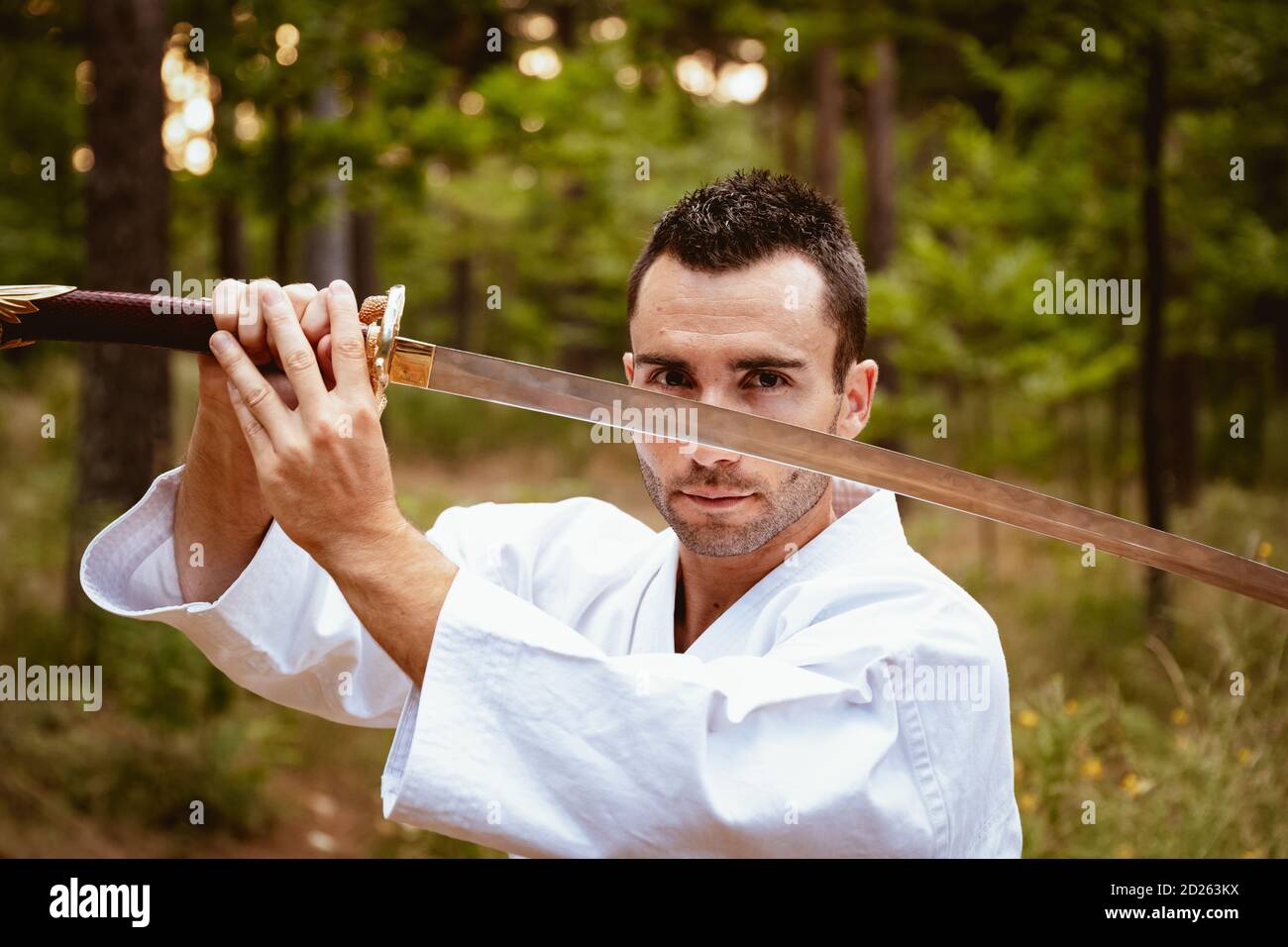 Man practicing martial arts in nature Stock Photo - Alamy