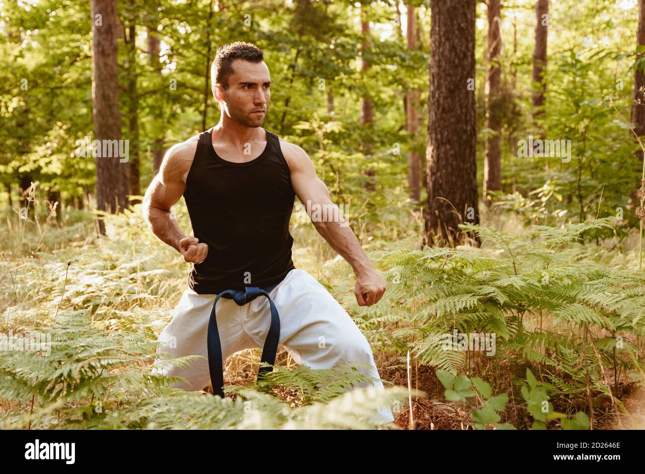 Man practicing martial arts in nature Stock Photo - Alamy
