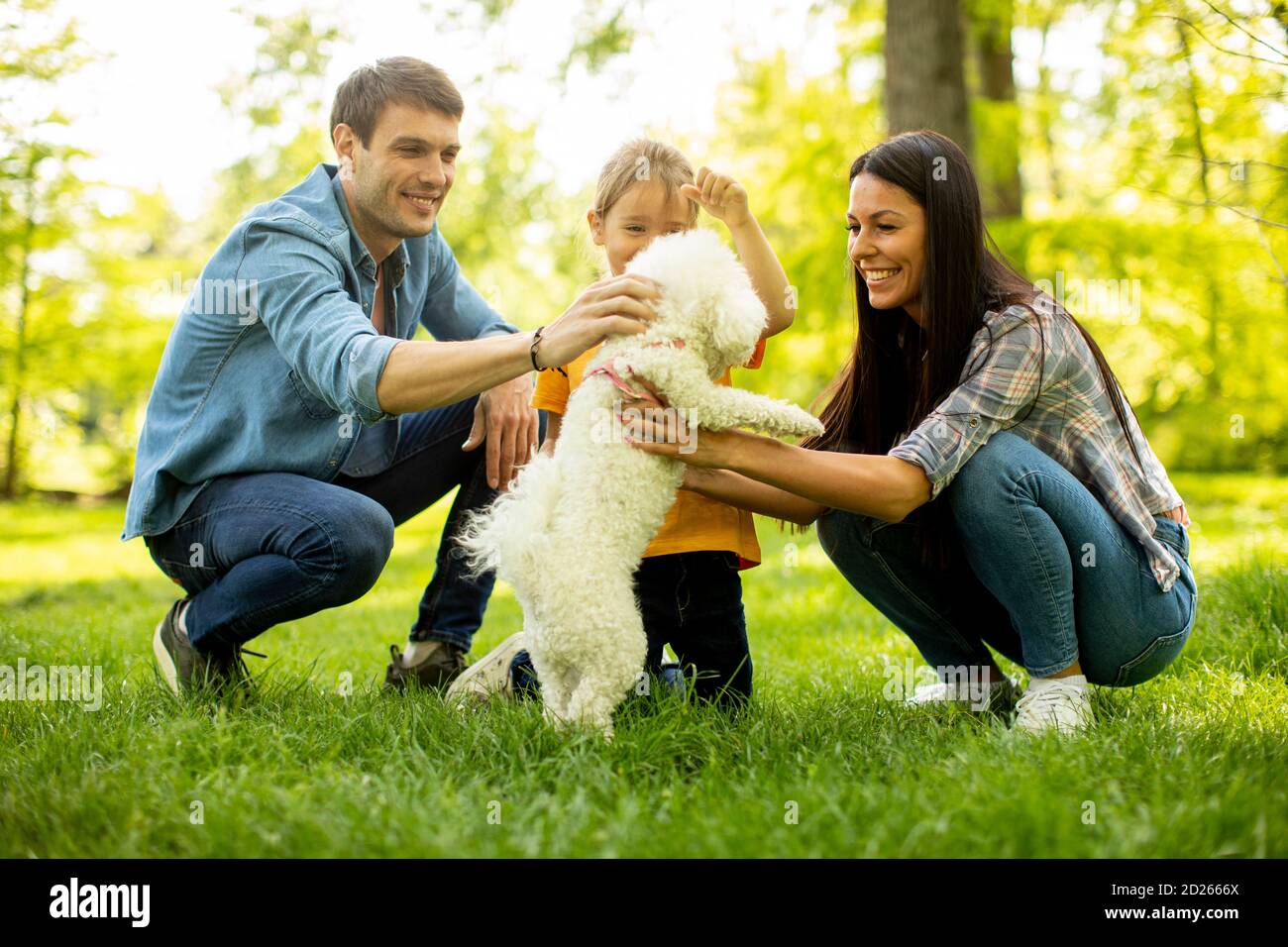 Beautiful happy family is having fun with bichon dog outdoors in the ...
