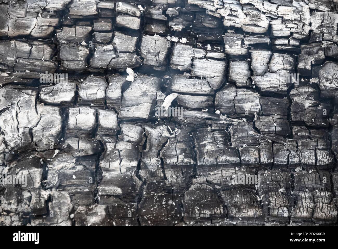 Firewood texture hi-res stock photography and images - Alamy
