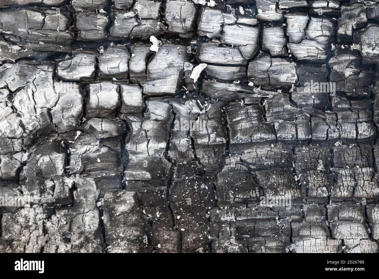 Texture of burning wood in details Stock Photo - Alamy