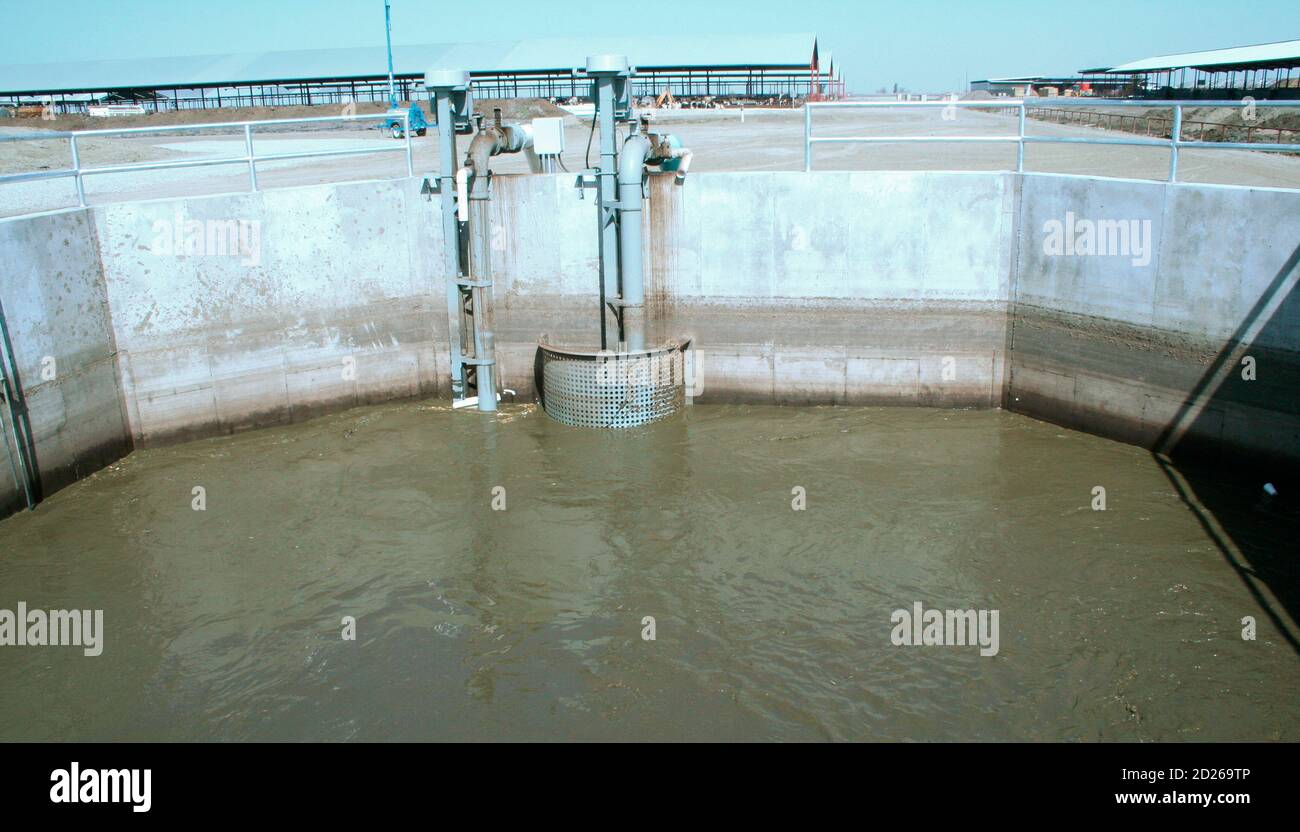 Cow manure pool hi-res stock photography and images - Alamy