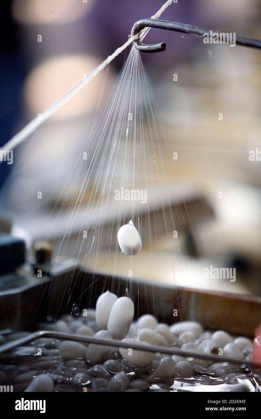 China traditional silk production hi-res stock photography and images ...