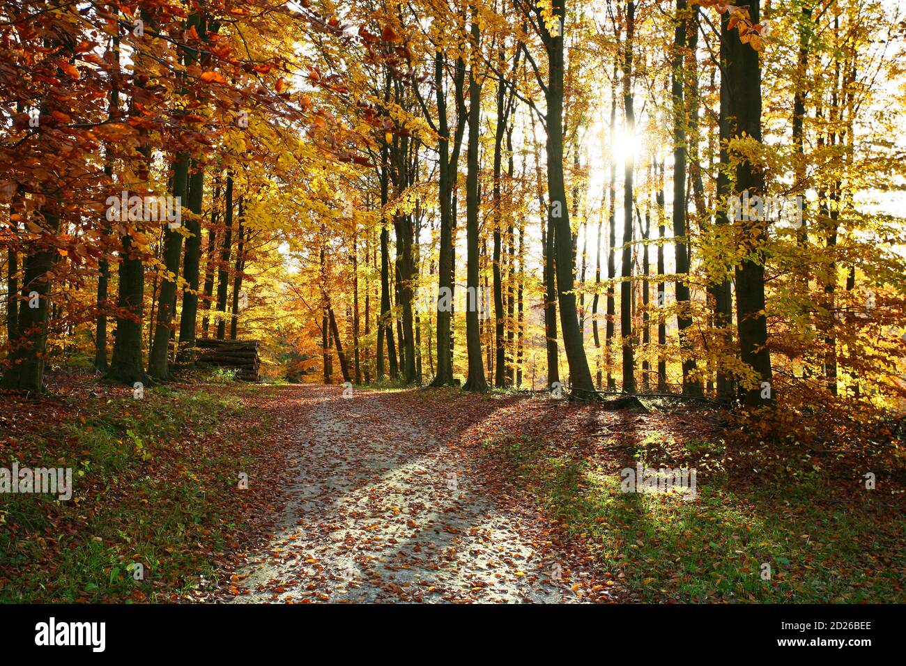 Alleroed hi-res stock photography and images - Alamy