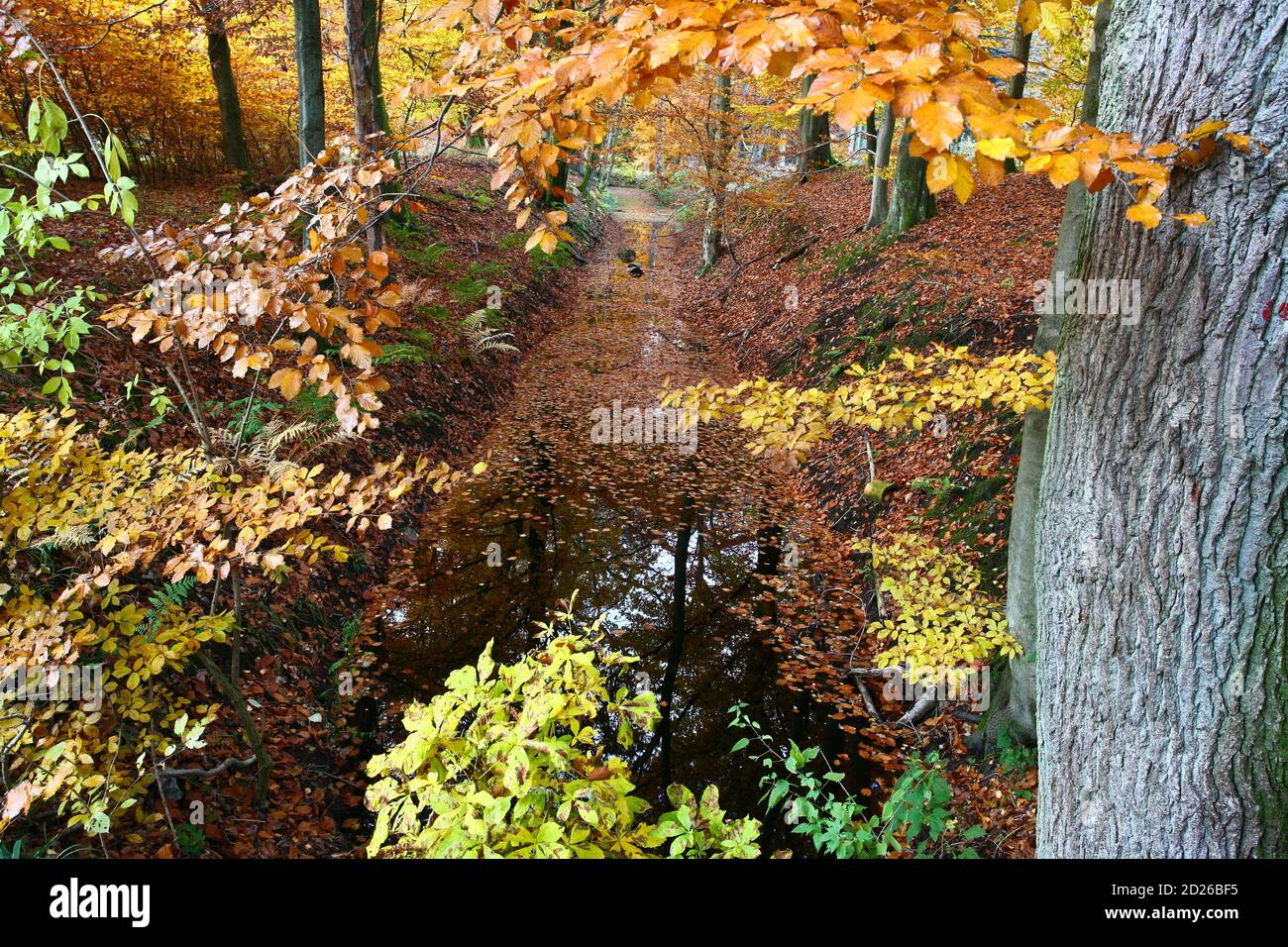 Alleroed hi-res stock photography and images - Alamy