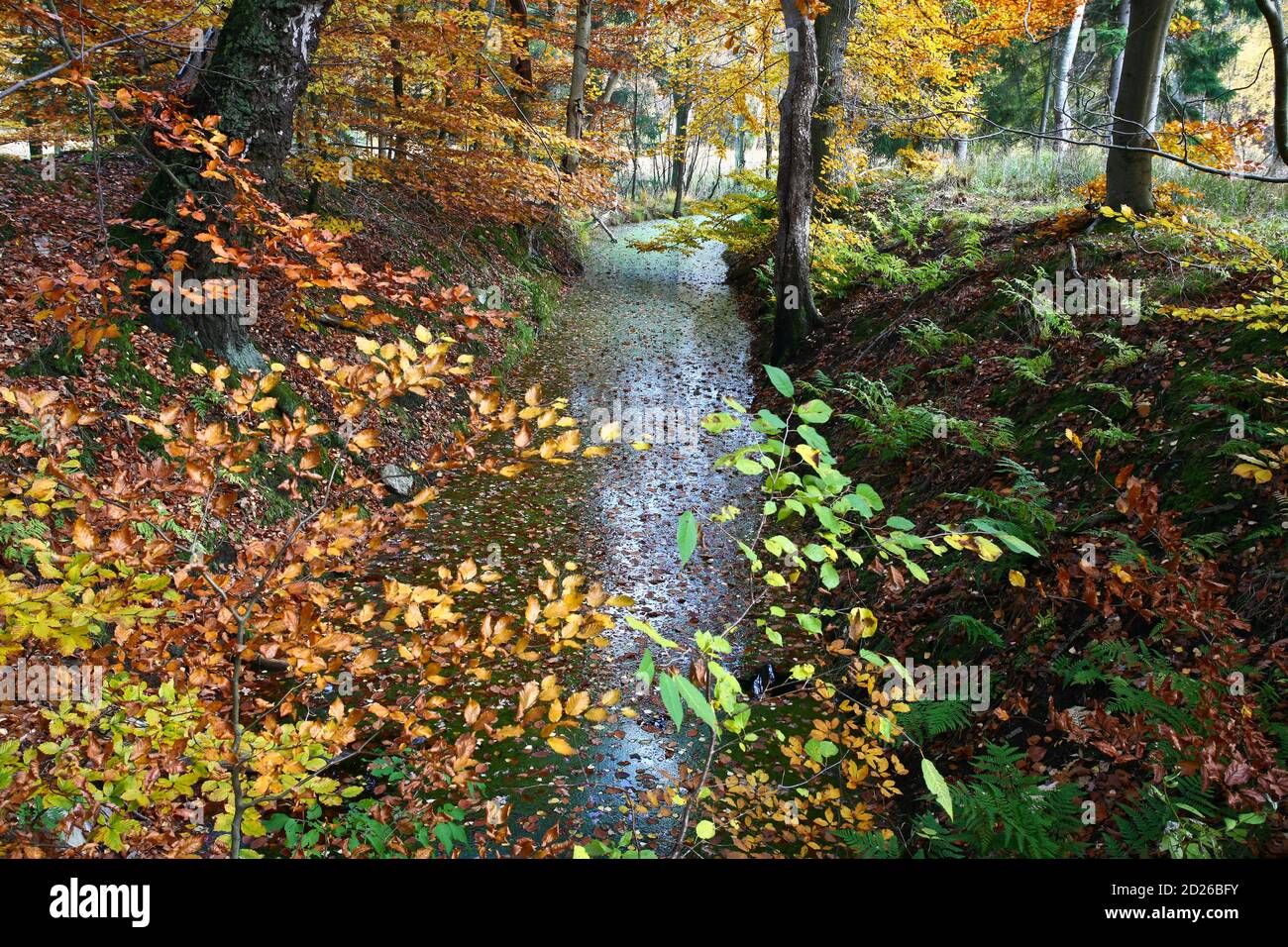 Alleroed hi-res stock photography and images - Alamy