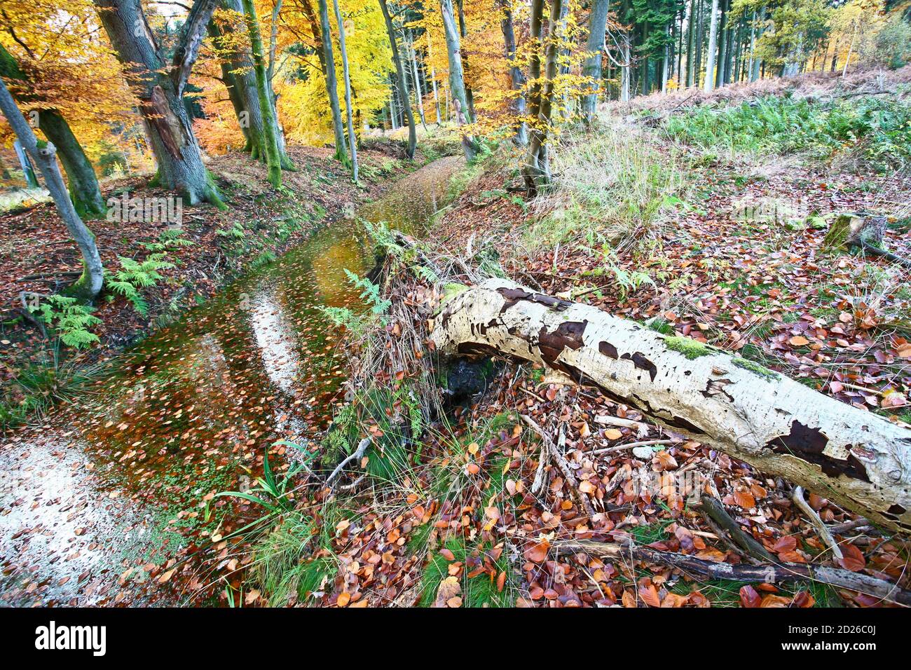 Alleroed hi-res stock photography and images - Alamy