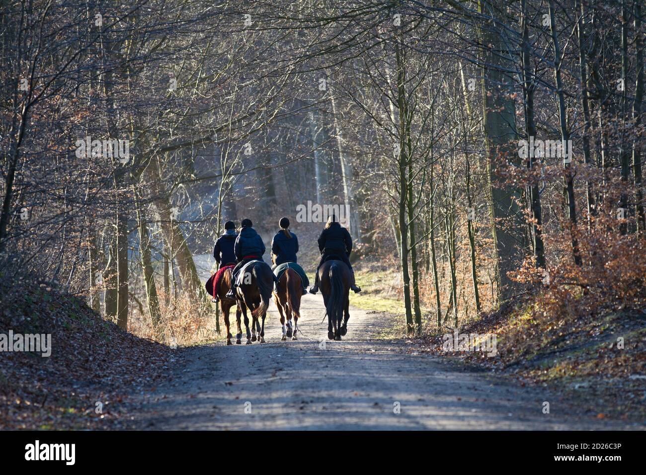 Group of horse riders hi-res stock photography and images - Alamy