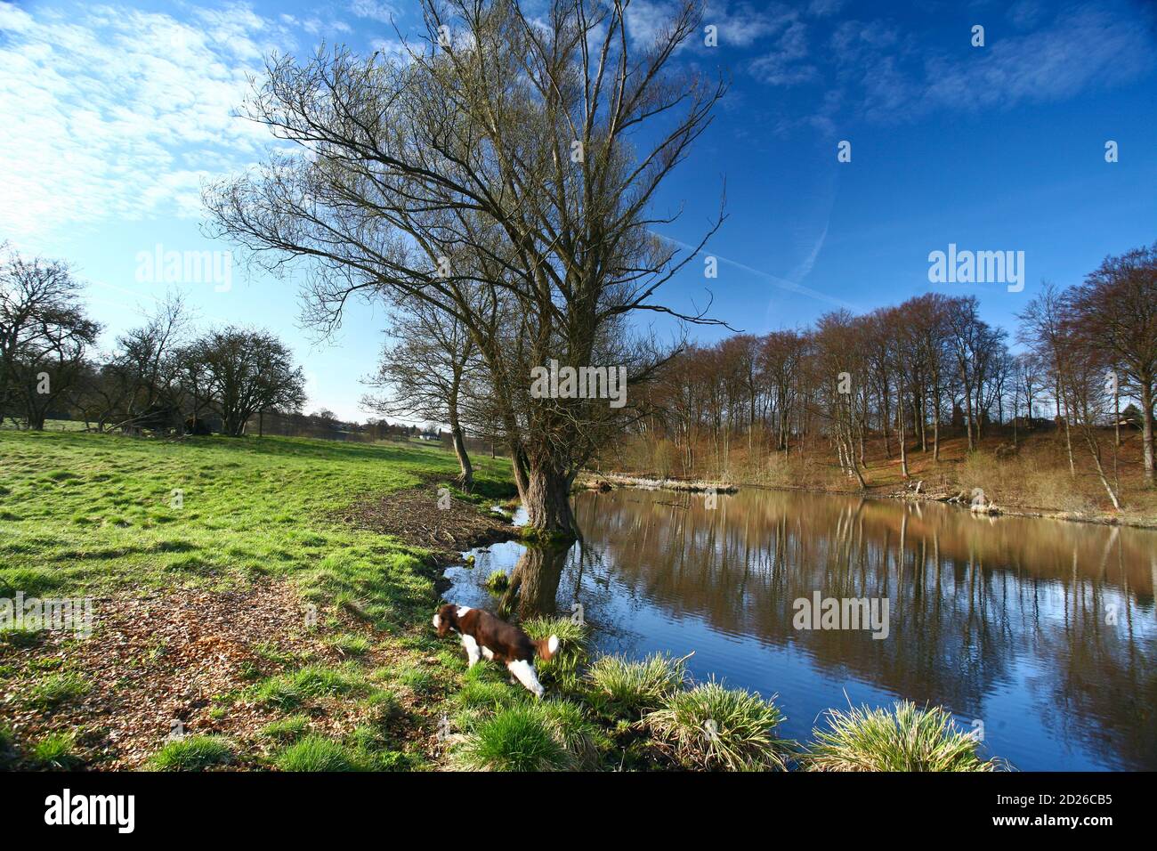 danish landscape in denmark in winter Stock Photo - Alamy
