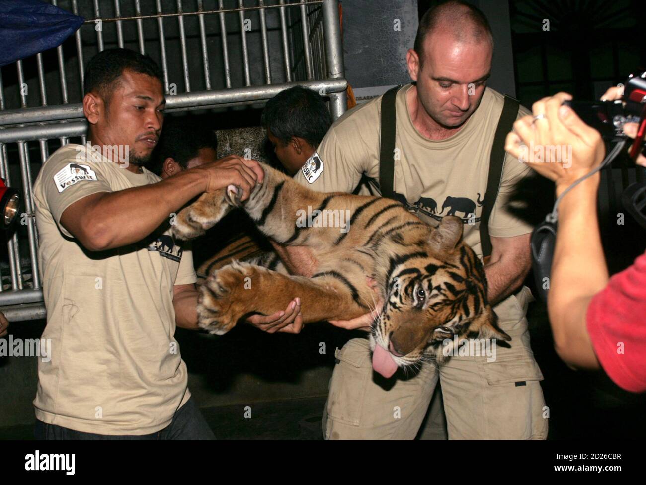 Tiger Trap High Resolution Stock Photography and Images - Alamy