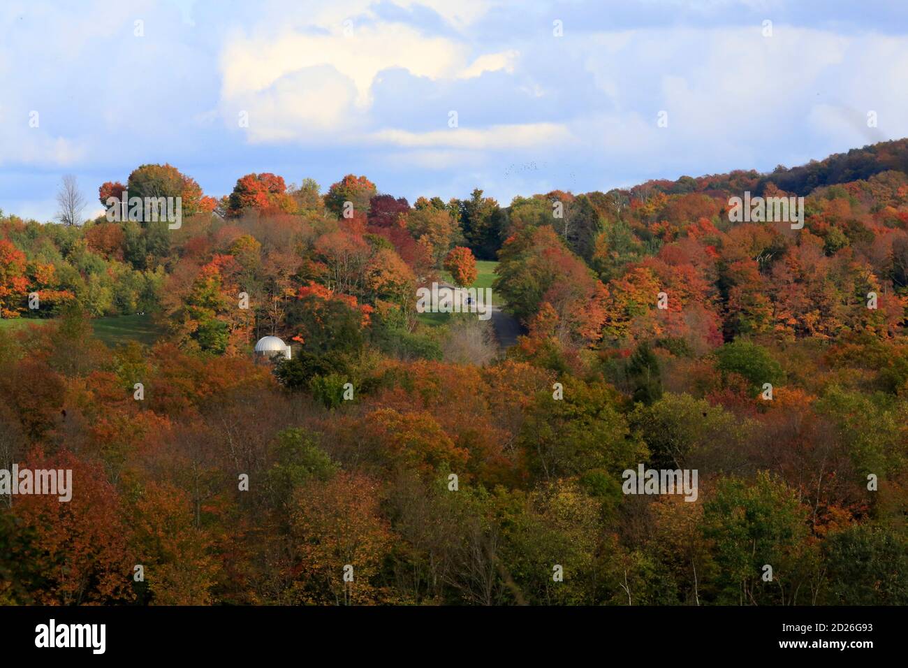 Colourful trees are seen during the fall in northern Vermont, USA ...