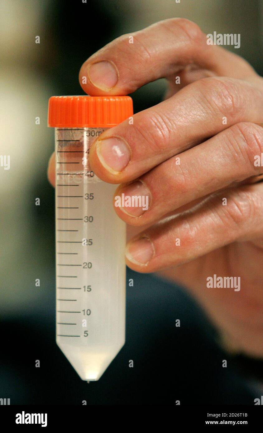 Cellulose material hi-res stock photography and images - Alamy