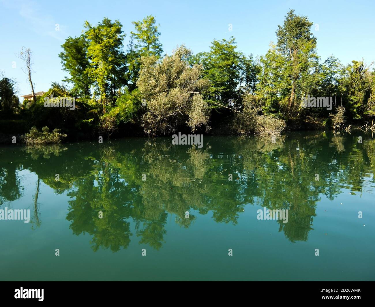Wild Brenta River Stock Photo - Alamy