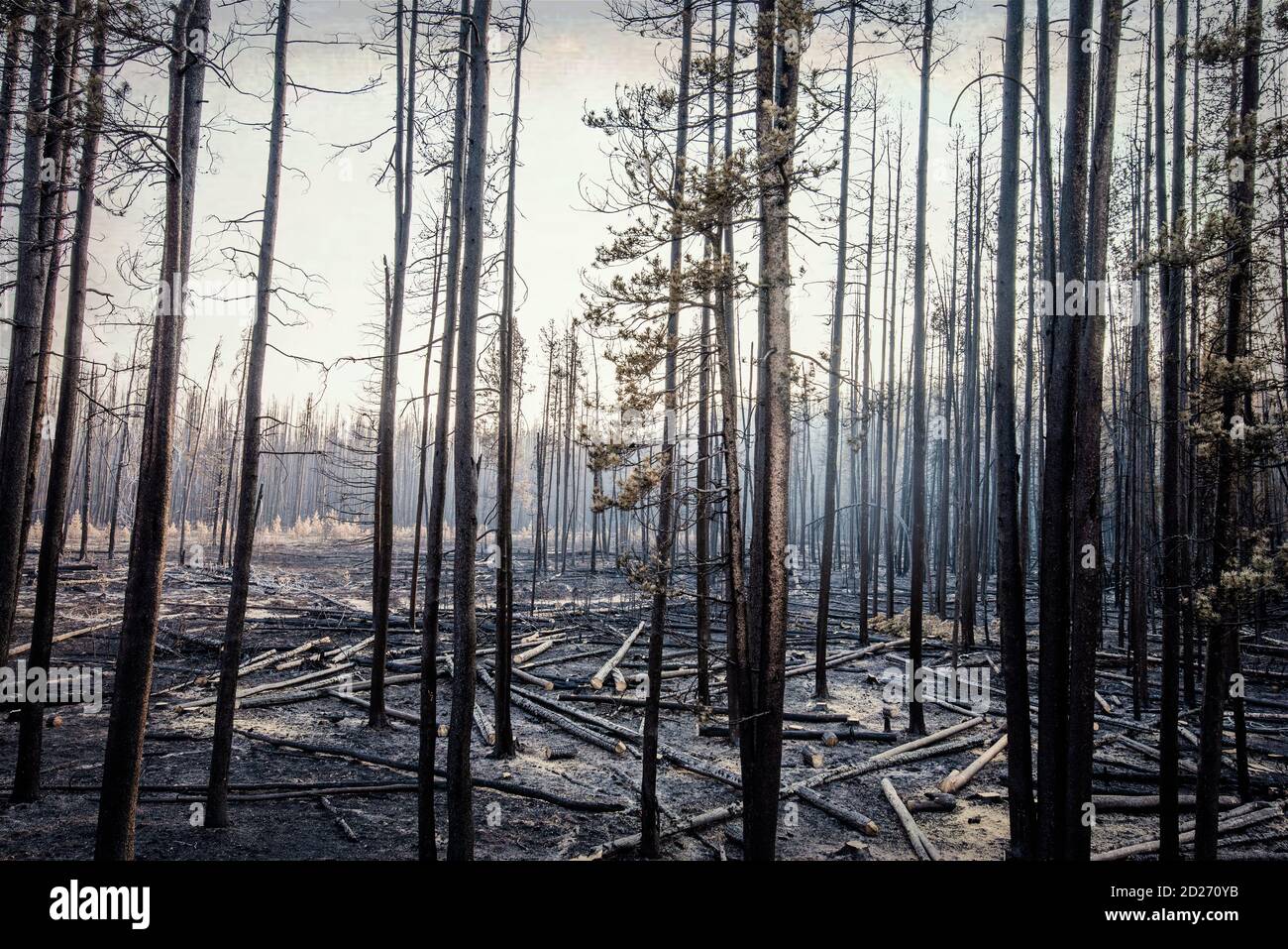 Wildfire 2020 highway hi-res stock photography and images - Alamy