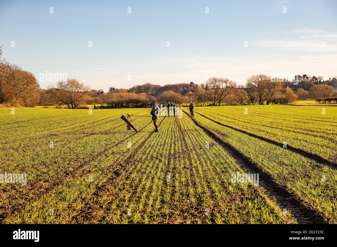 Driven pheasant shoot at Ripley Castle Estate, near Harrogate, North ...