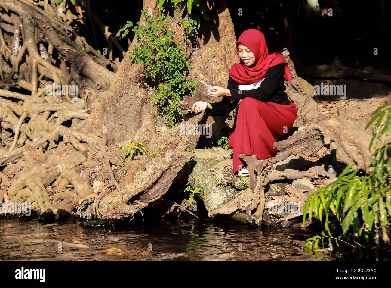 portrait of an asian woman feeding fish in a pond. holiday in koi fish ...