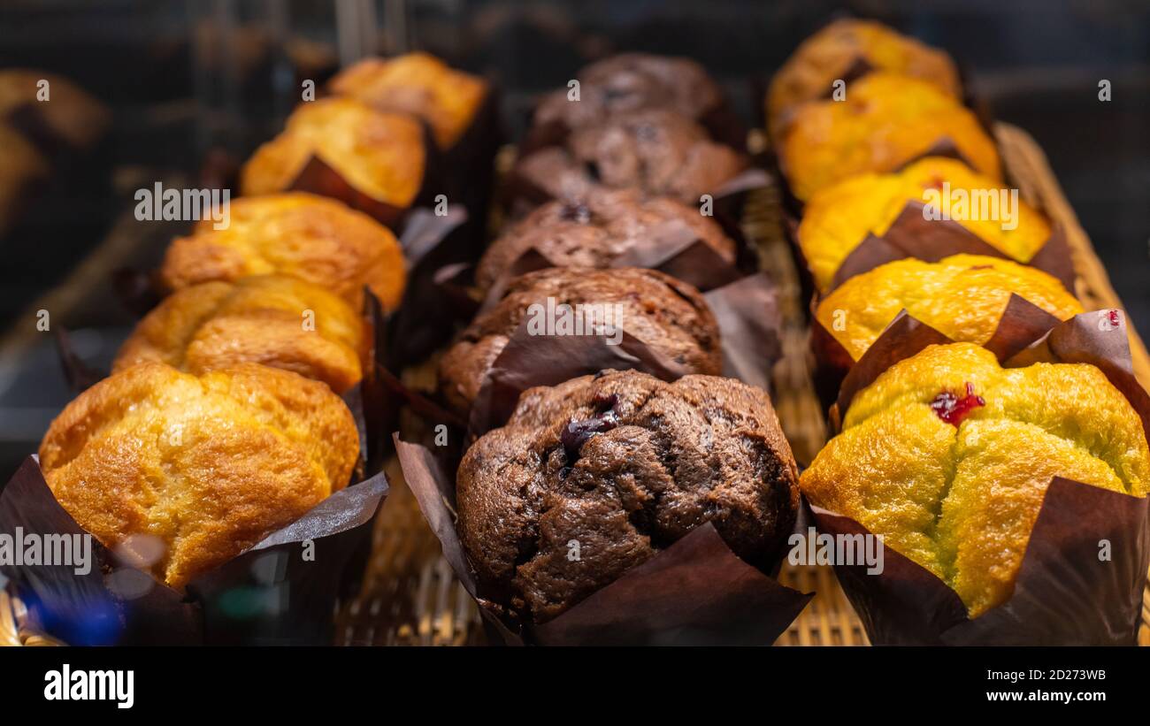 Golden muffins in a row, chocolate and vanilla flavors, homemade ...