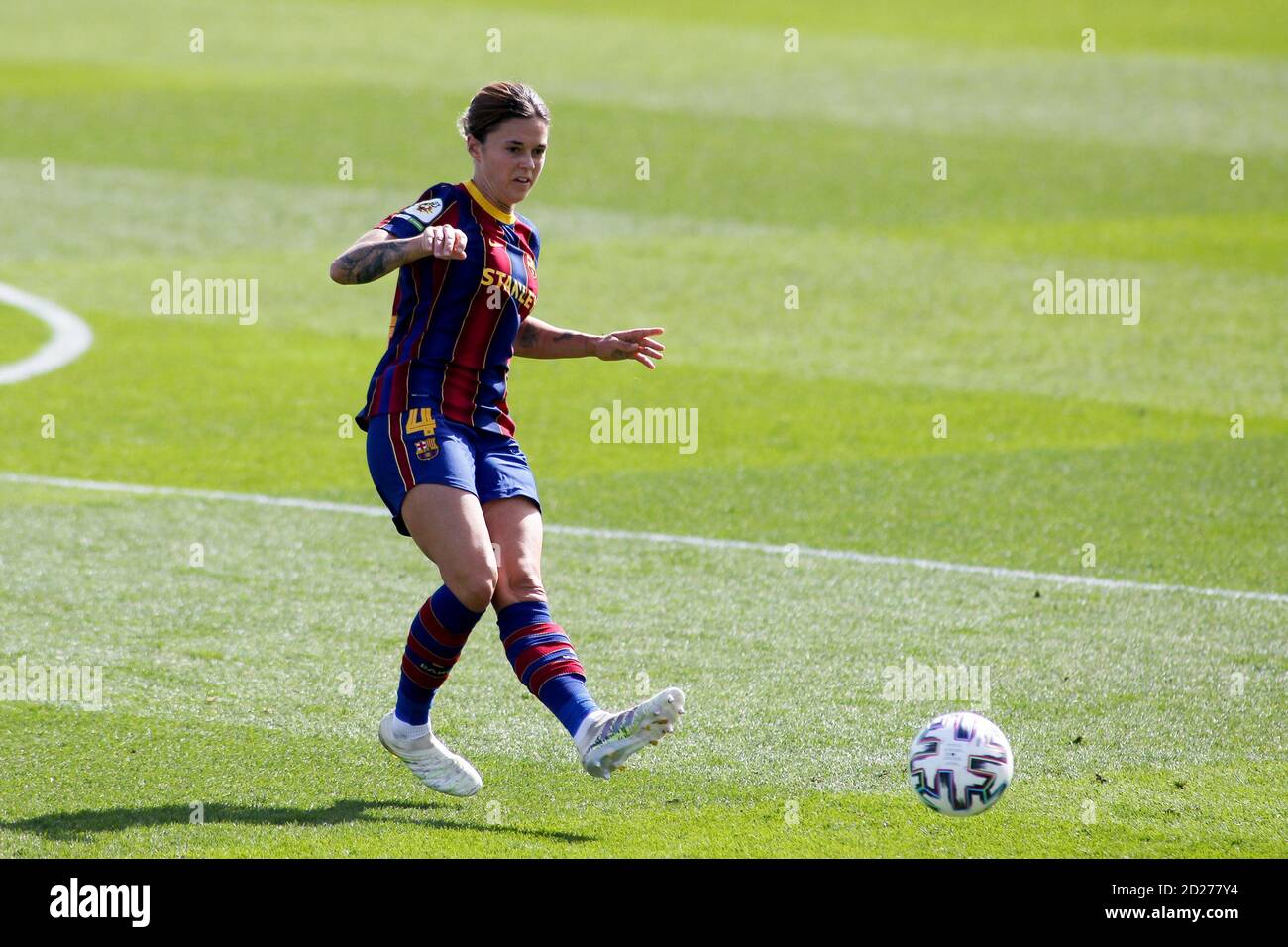 Mapi leon hi-res stock photography and images - Alamy