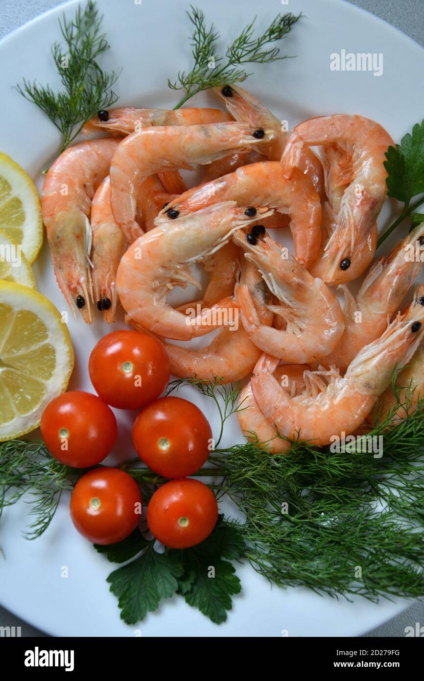 Prawns (Latin. Caridea) - recipes of culinary dishes with shrimp are ...