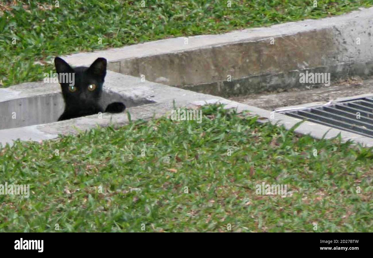 Singapore drain hi-res stock photography and images - Alamy