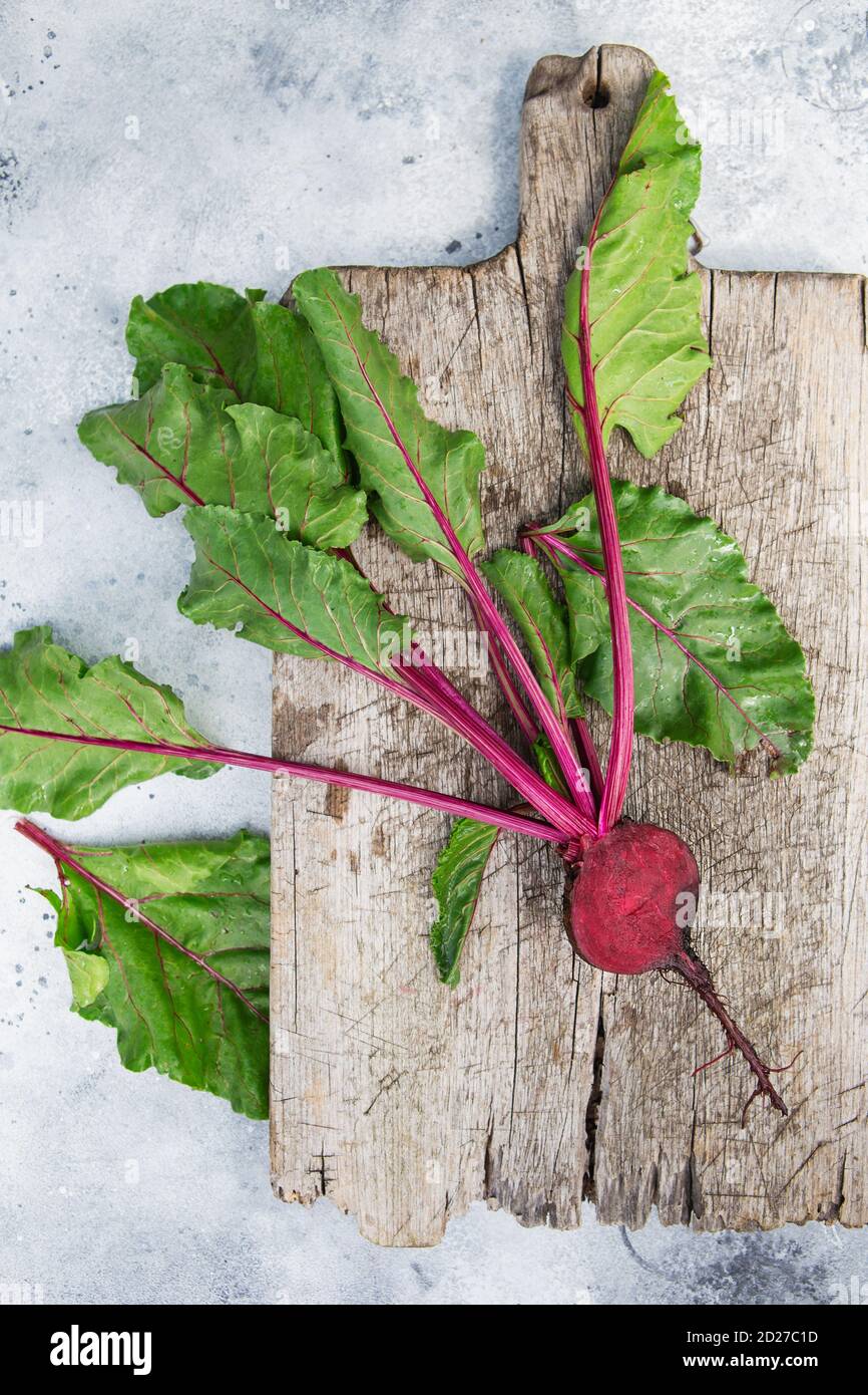 Kitchen Garden Plant High Resolution Stock Photography and Images - Alamy