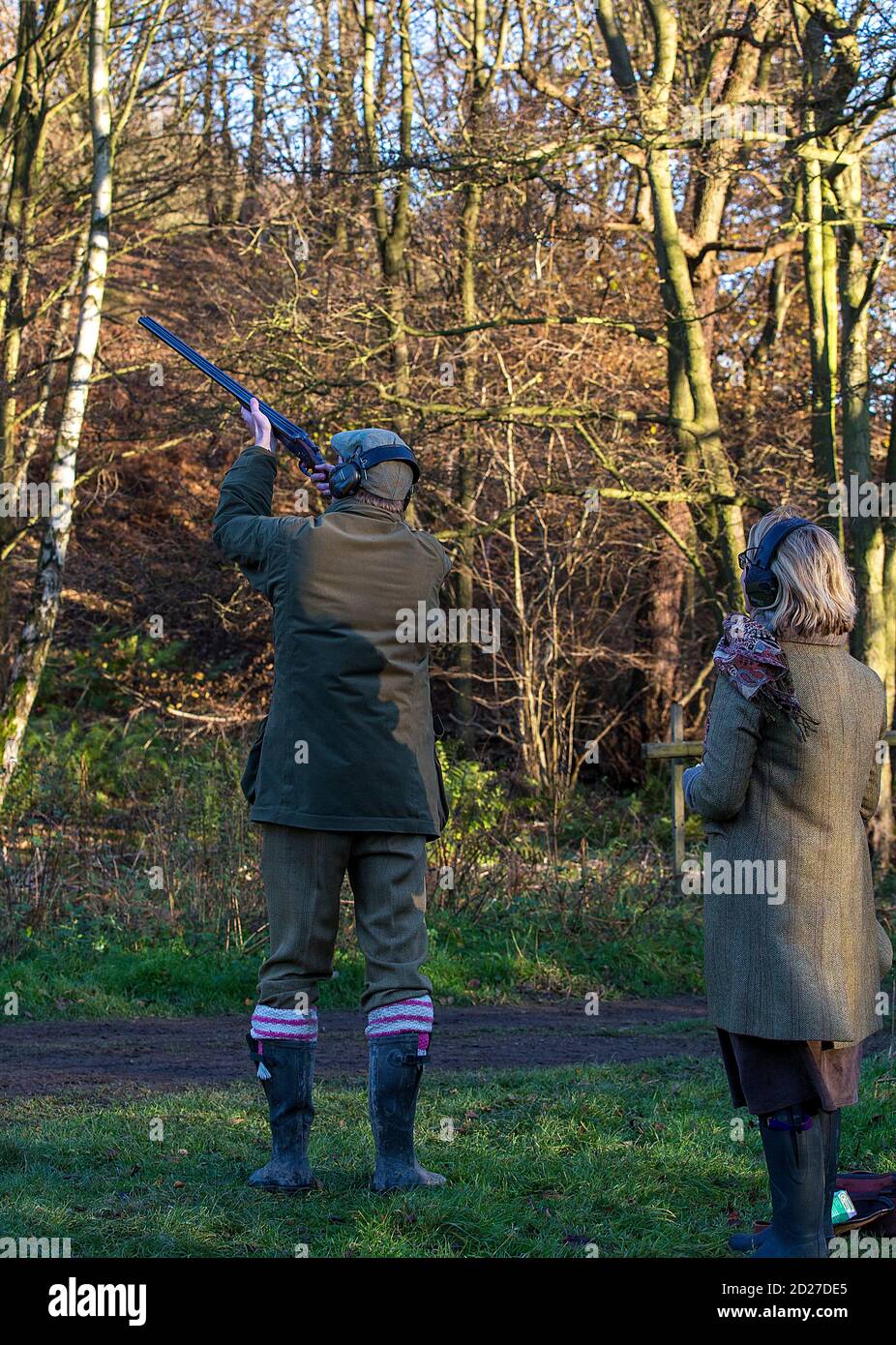 Shooter on a driven pheasant shoot in North Yorkshire, England Stock ...