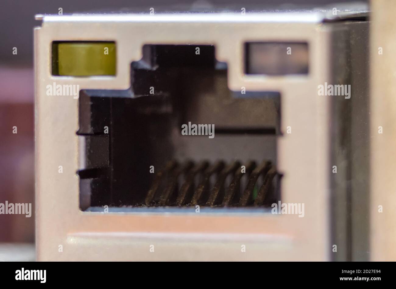 Network connector close up Stock Photo - Alamy