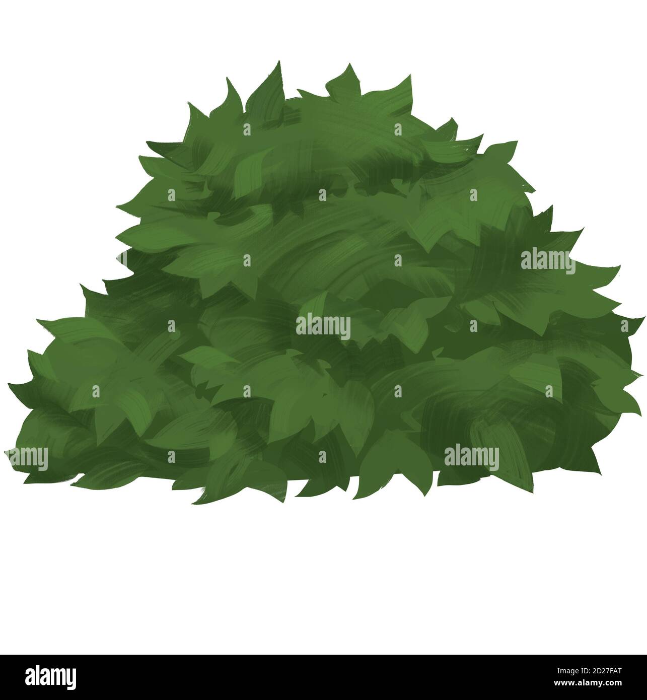 Green plant bush leaves hand drawn illustration isolated on white ...