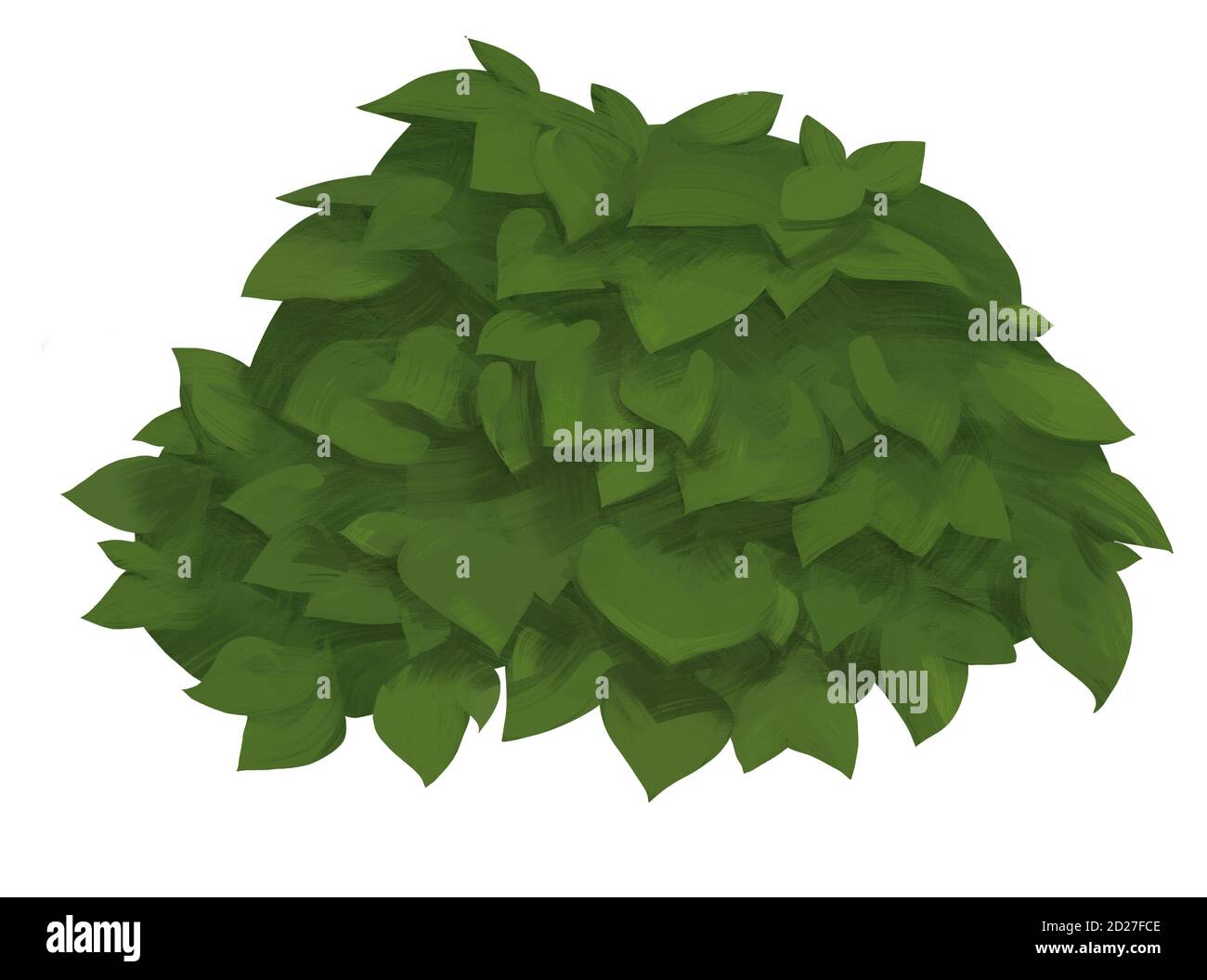 Green plant bush leaves hand drawn illustration isolated on white ...