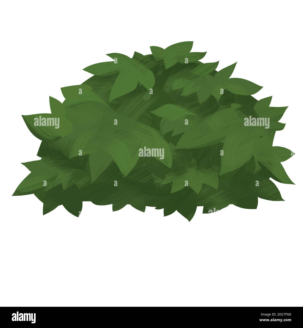 Green plant bush leaves hand drawn illustration isolated on white ...