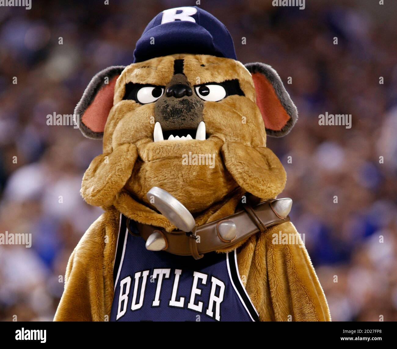 College Basketball Mascot High Resolution Stock Photography and Images ...