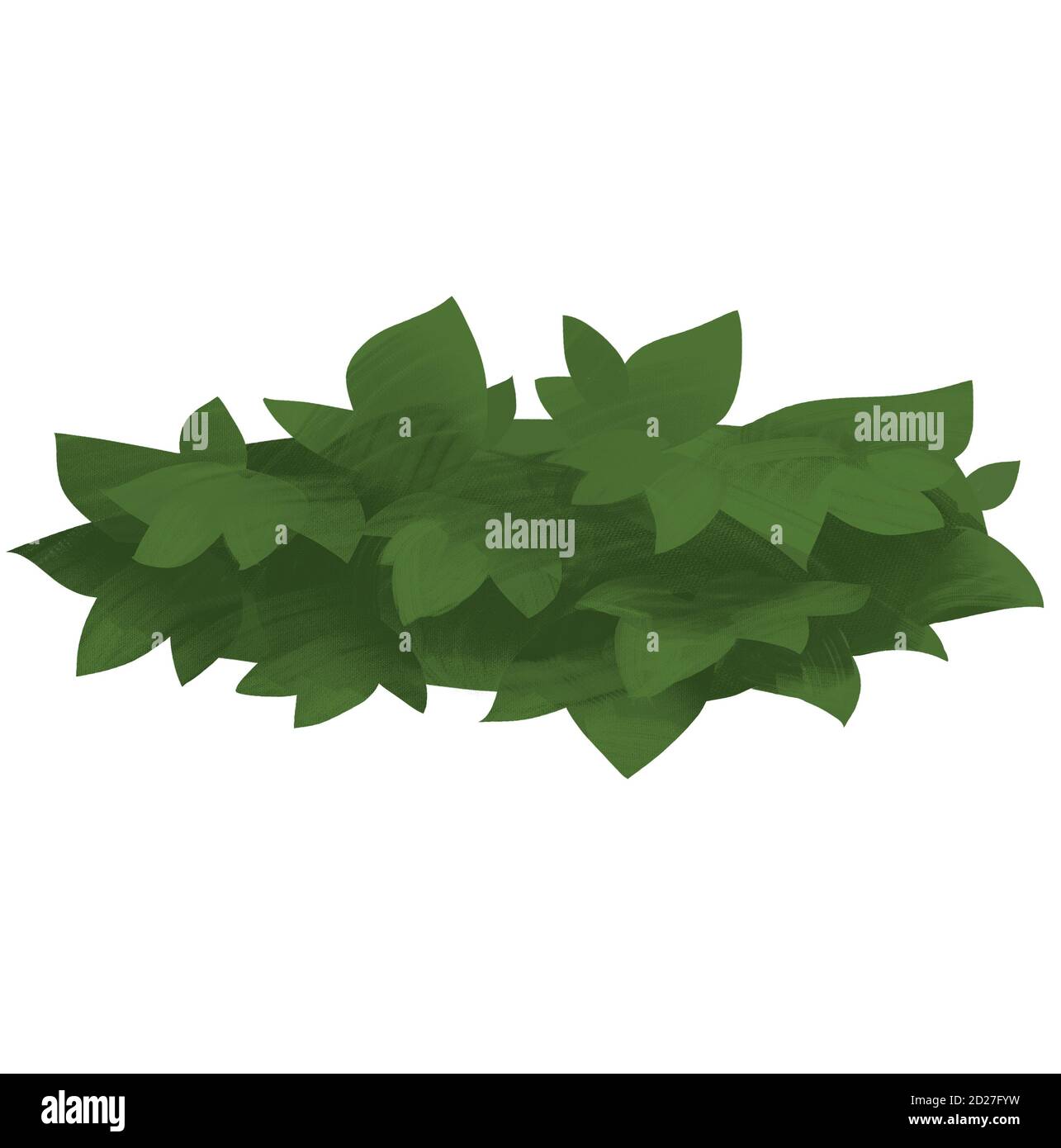 Green plant bush leaves hand drawn illustration isolated on white ...