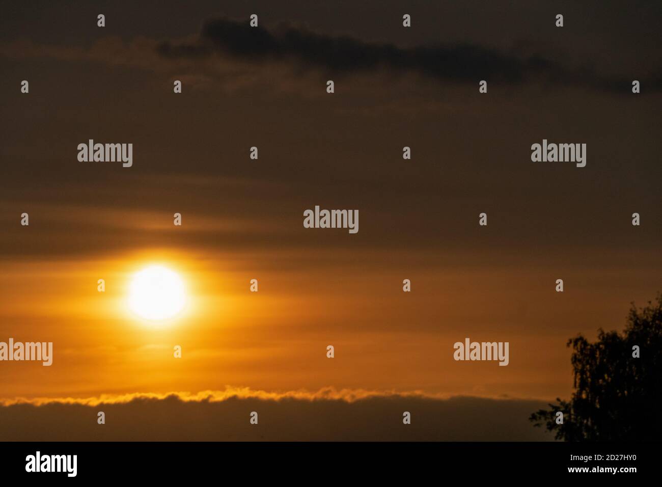 Natural beautiful orange sunset. Bright sky and big sun close up, Below ...