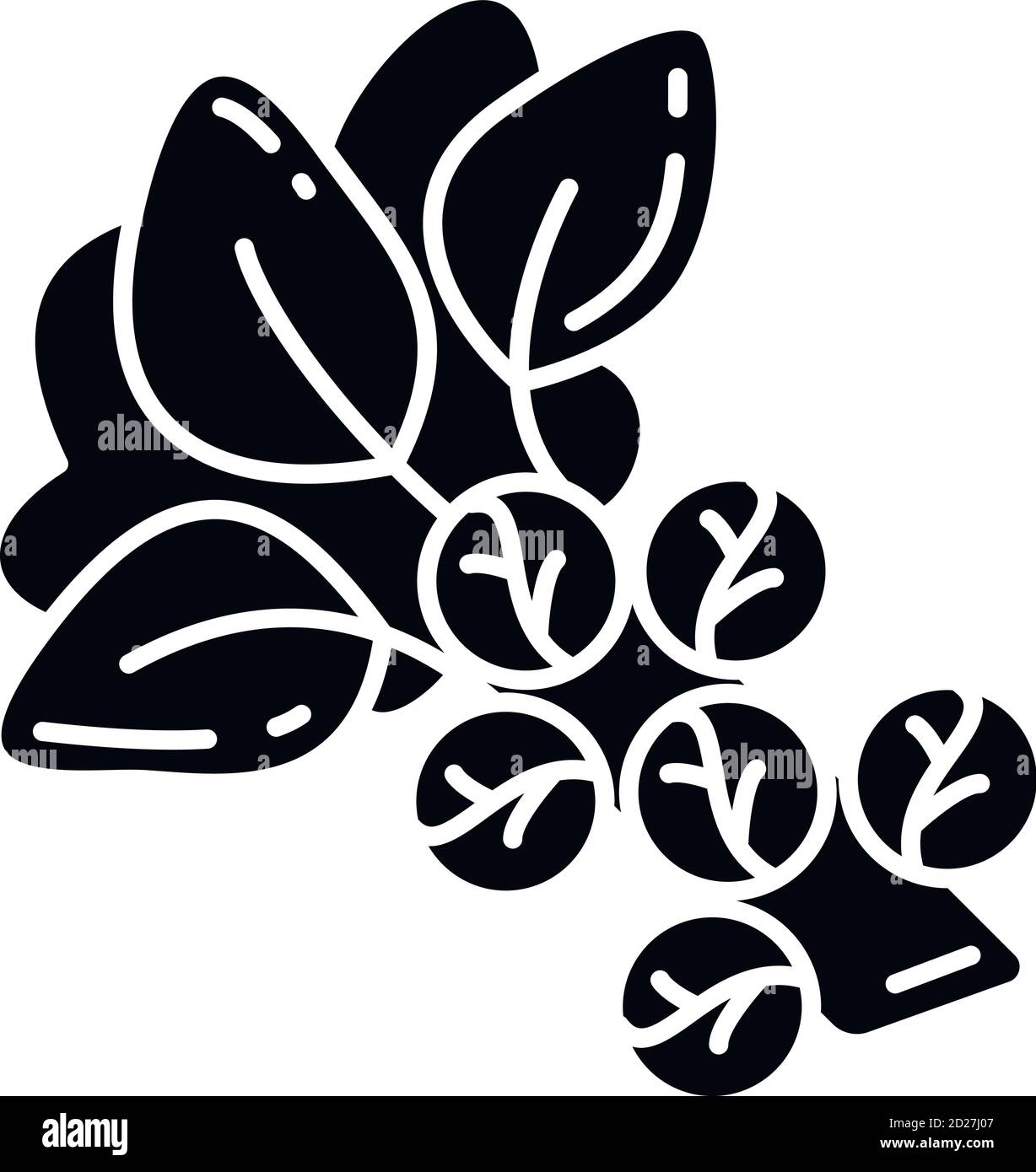 Vegetable sprouts Black and White Stock Photos & Images - Alamy