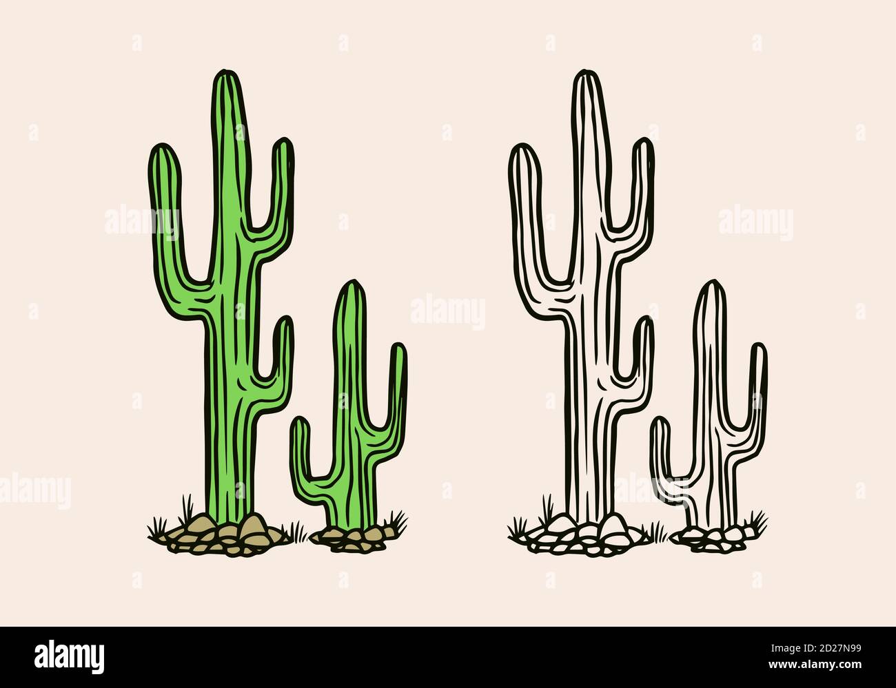 Nopal or Mexican cactus. Tropical green plant. Engraved hand drawn ...