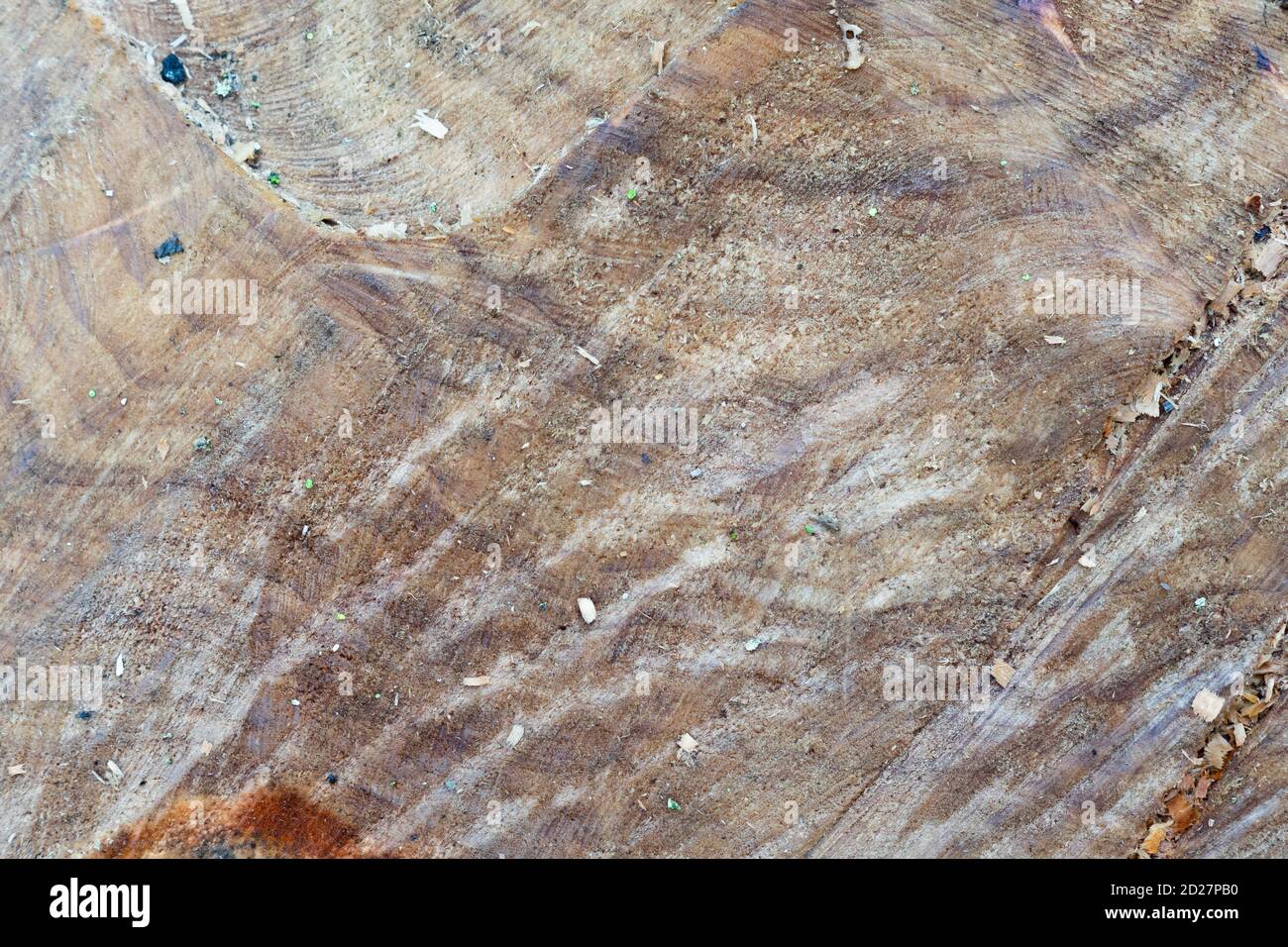 Rough wood texture hi-res stock photography and images - Alamy