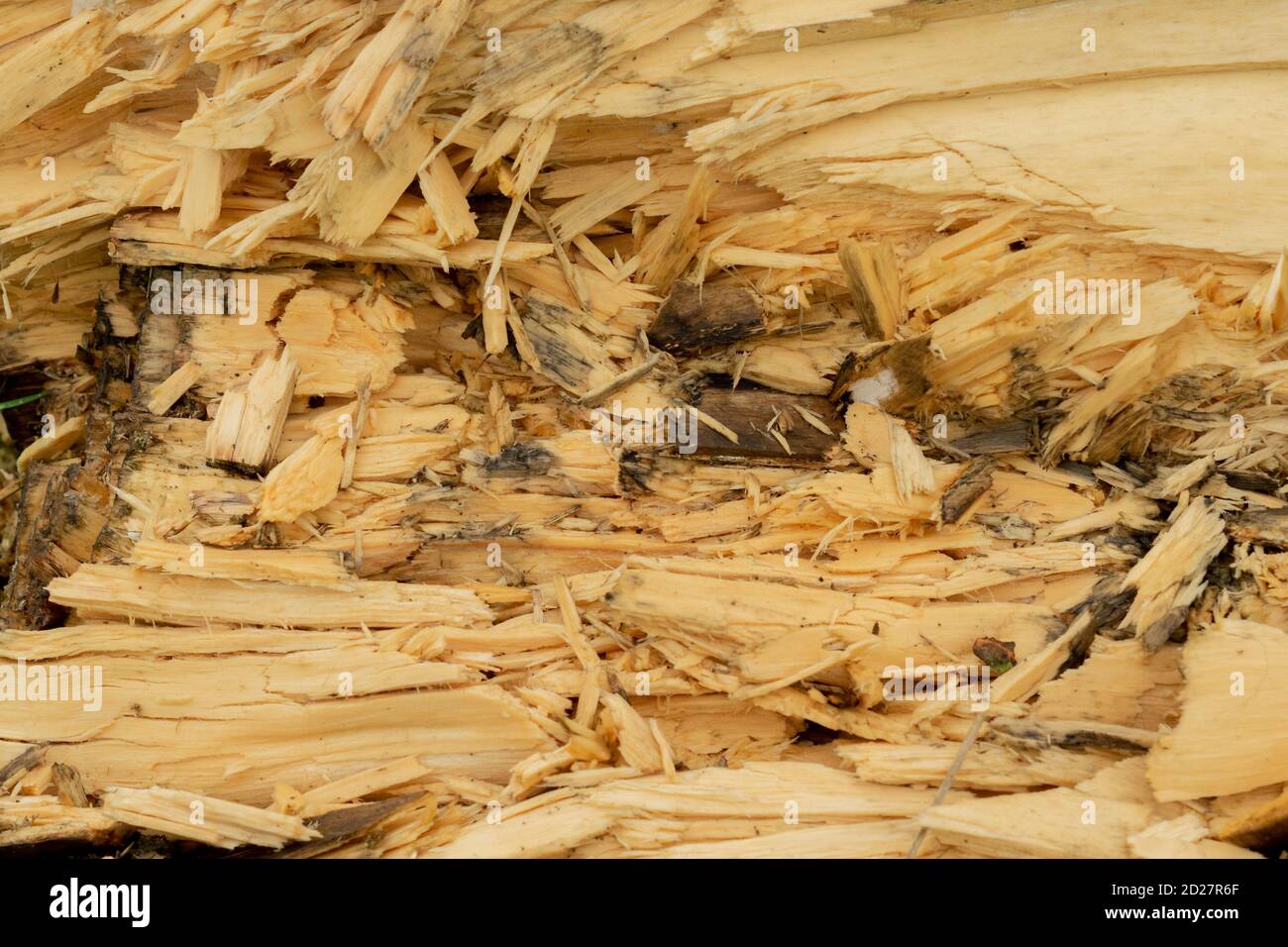 Rotting timber structure hi-res stock photography and images - Alamy