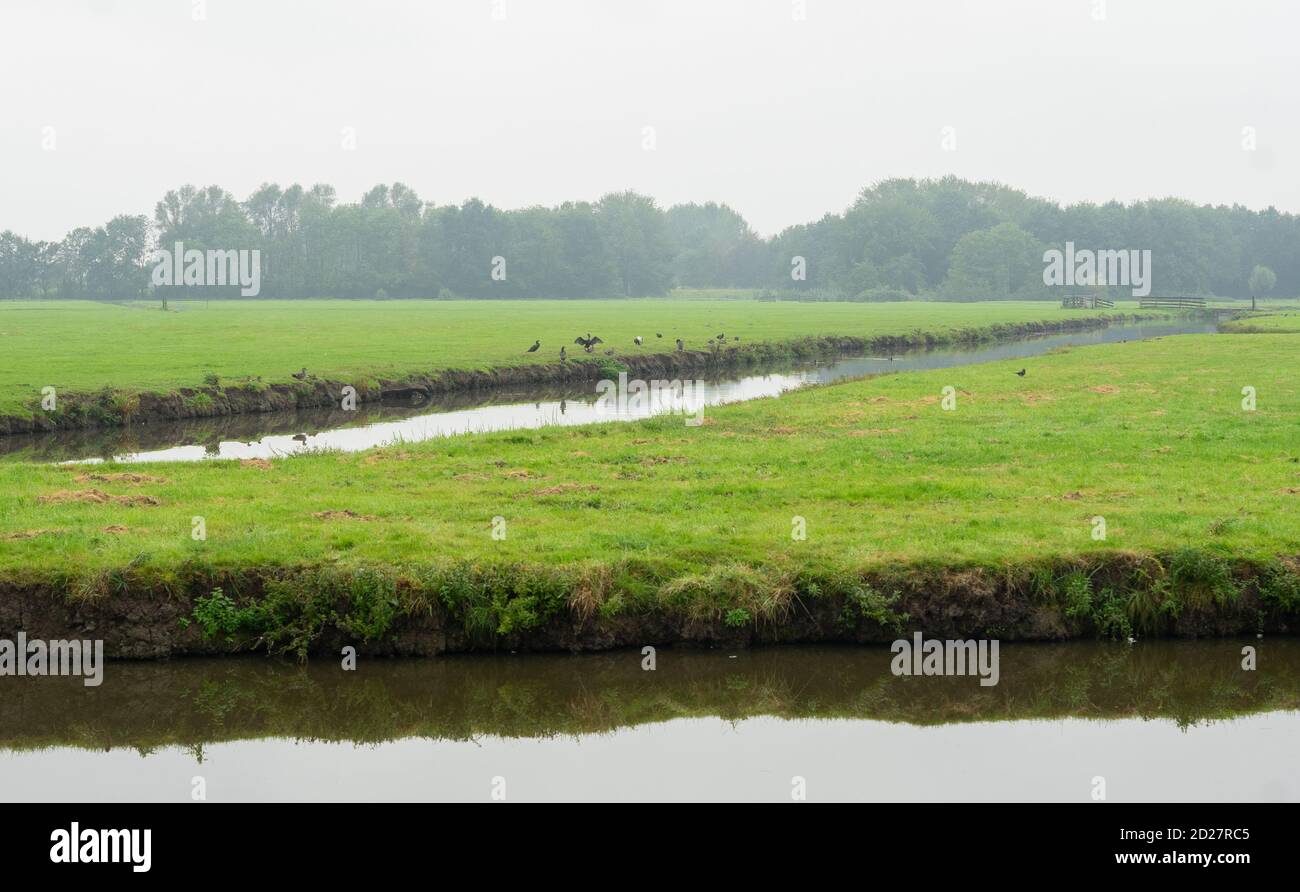 Green fields with river hi-res stock photography and images - Alamy