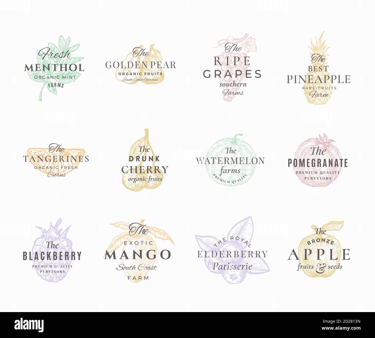 Premium Qualituy Fruits, Berries and Spices Elegant Labels Set ...