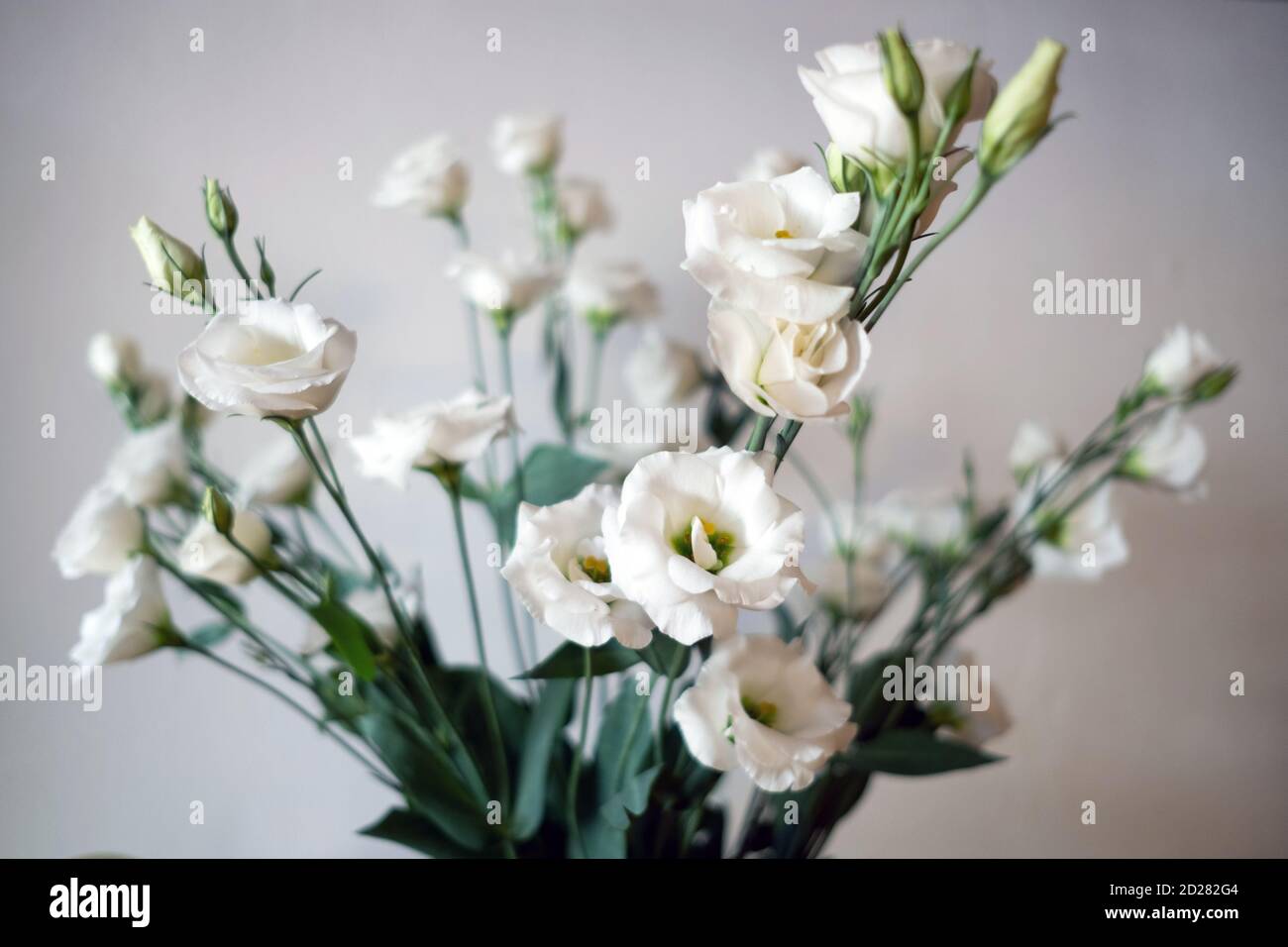 White Lisianthus Bouquet
