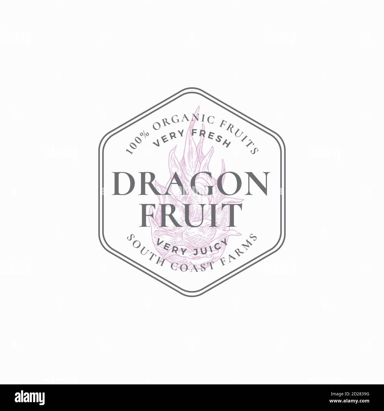 Dragon Fruit Frame Badge or Logo Template. Hand Drawn Exotic ...