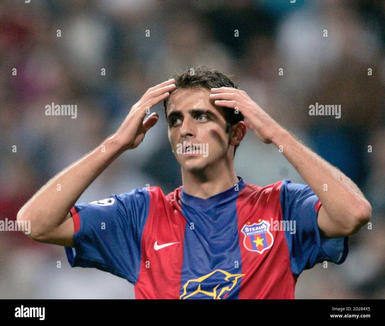 Badea hi-res stock photography and images - Alamy